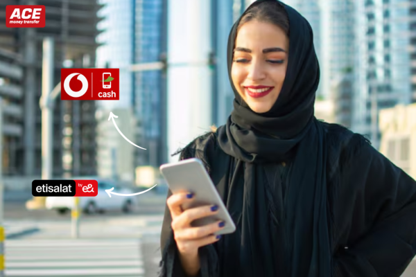 How do I Set Up a Transfer to Egypt from France Using a Mobile Wallet?